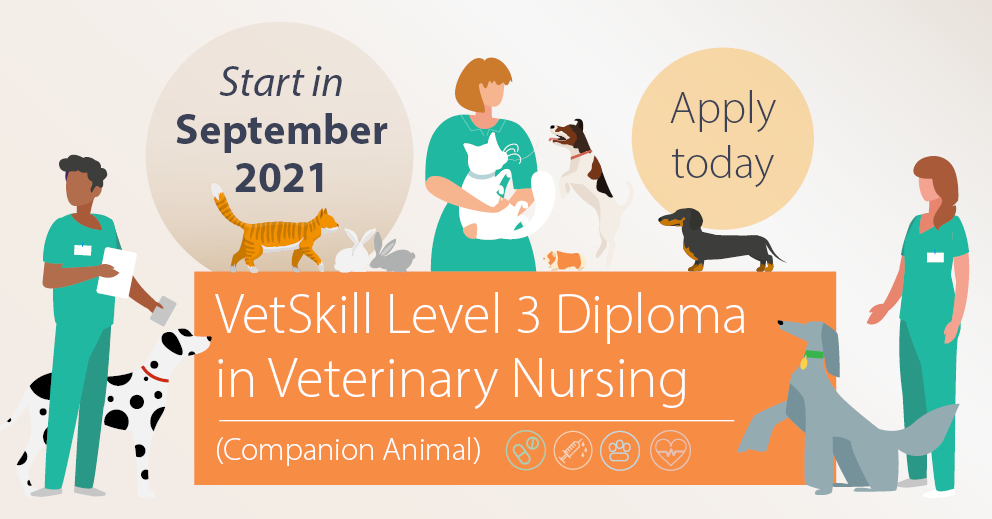 VetSkill Level 3 Diploma in Veterinary Nursing | CAW