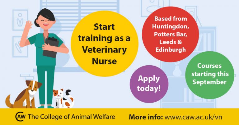 Start training as a veterinary nurse this S… | CAW News
