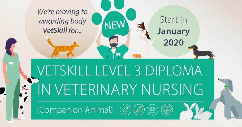 New VetSkill Level 3 Diploma in Veteri ... | CAW News