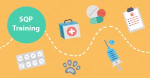 Training as an SQP: FAQs | CAW News