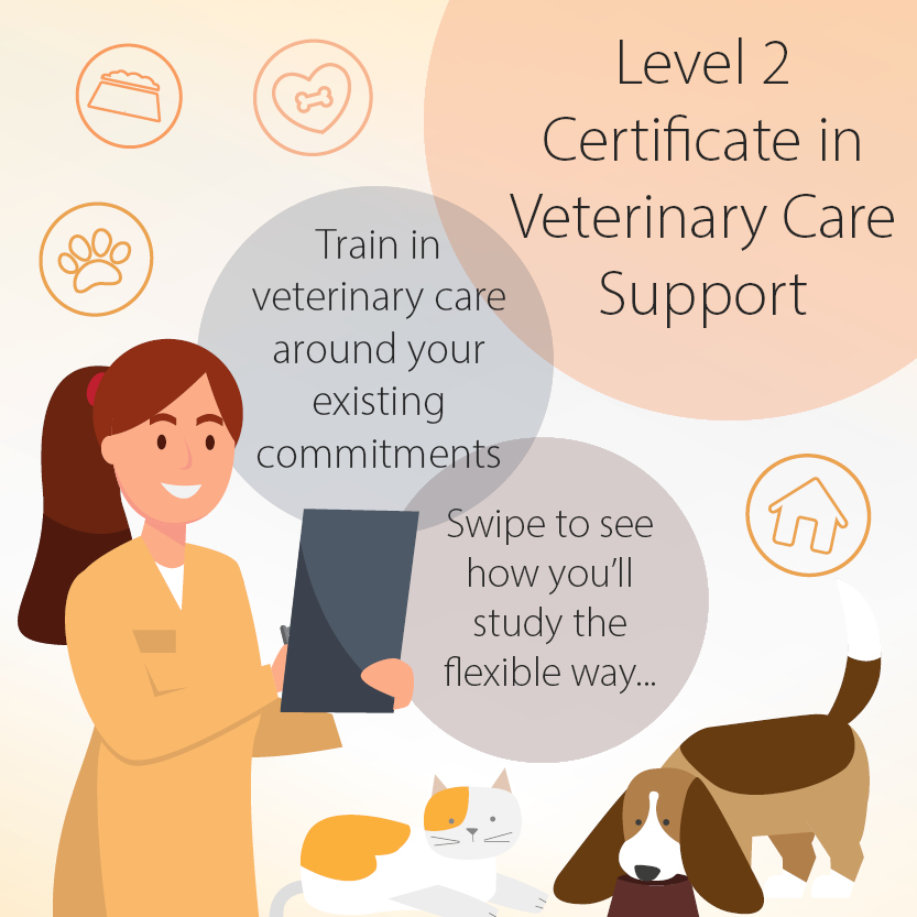 VetSkill Level 2 Certificate in Veterinary Ca ... | CAW