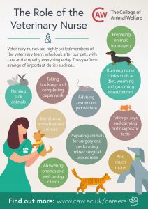 Veterinary Nursing Awareness Resources
