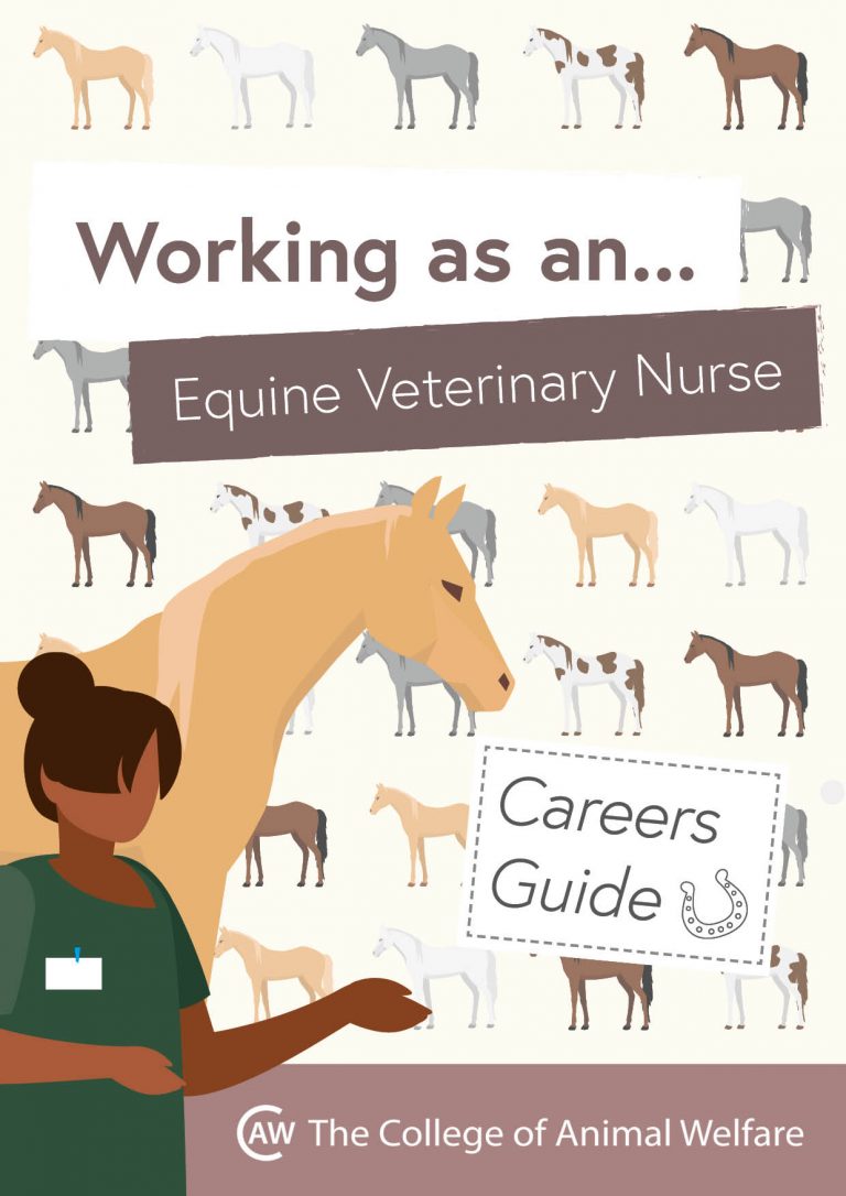 Veterinary Nursing Awareness Resources