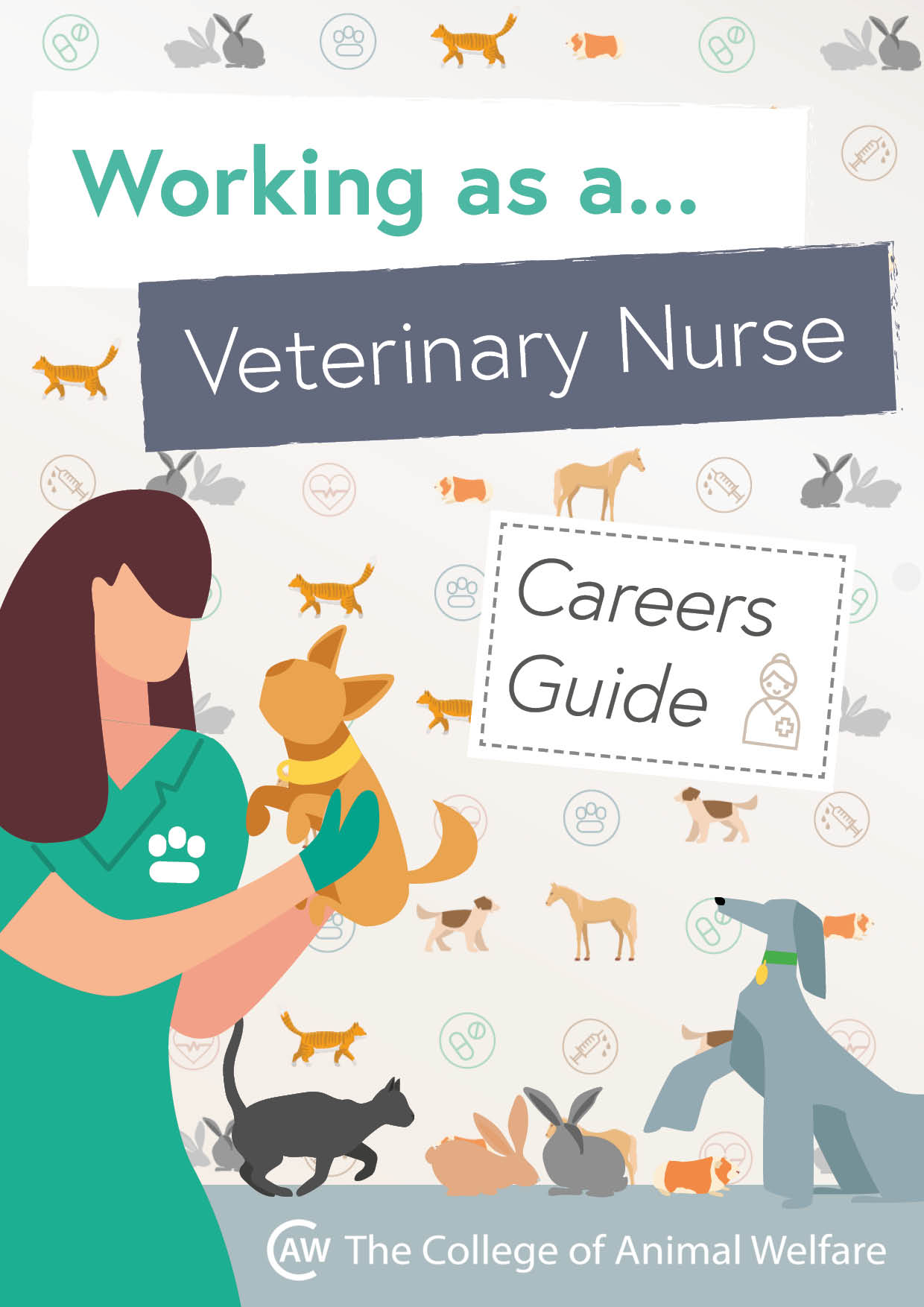 Veterinary Nursing Awareness Resources