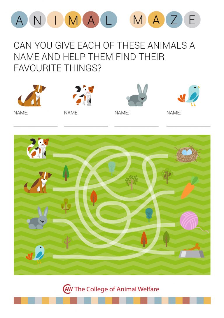 Animal Activities for Kids