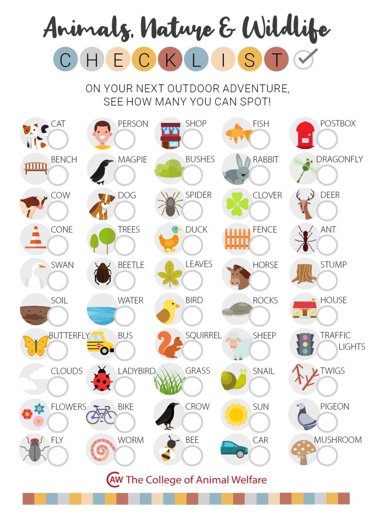 Animal Activities for Kids