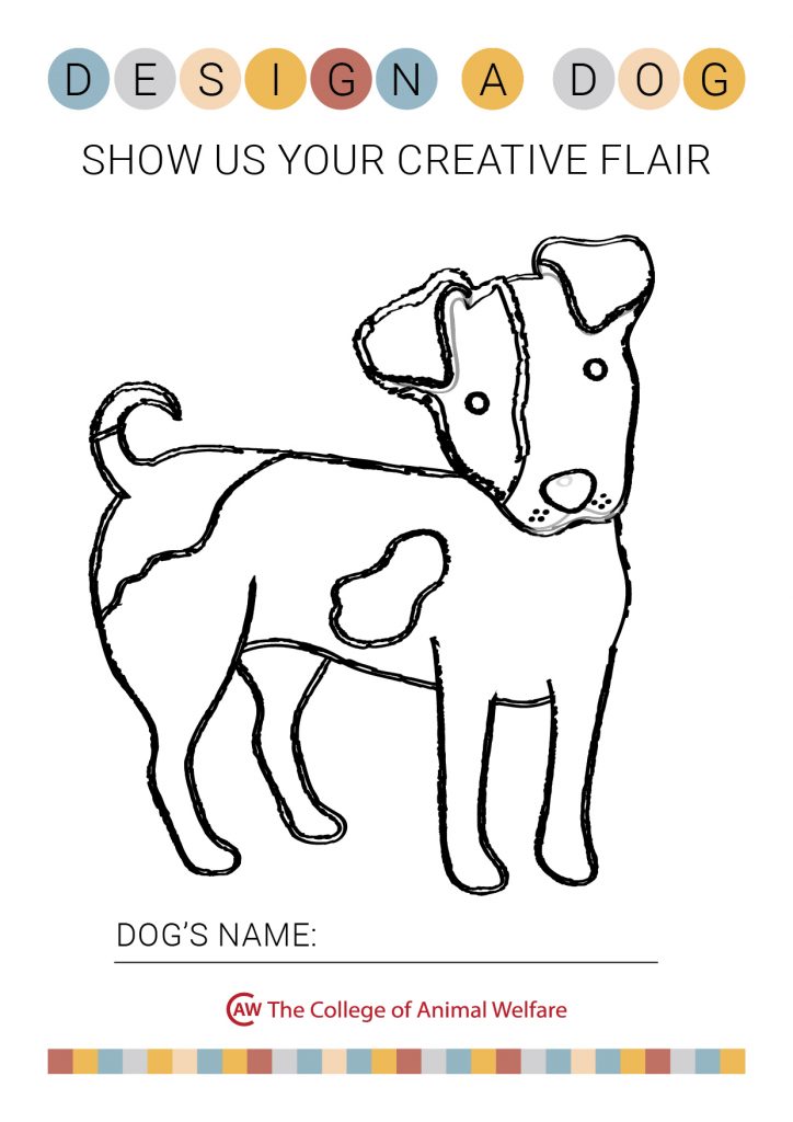 Animal Activities for Kids