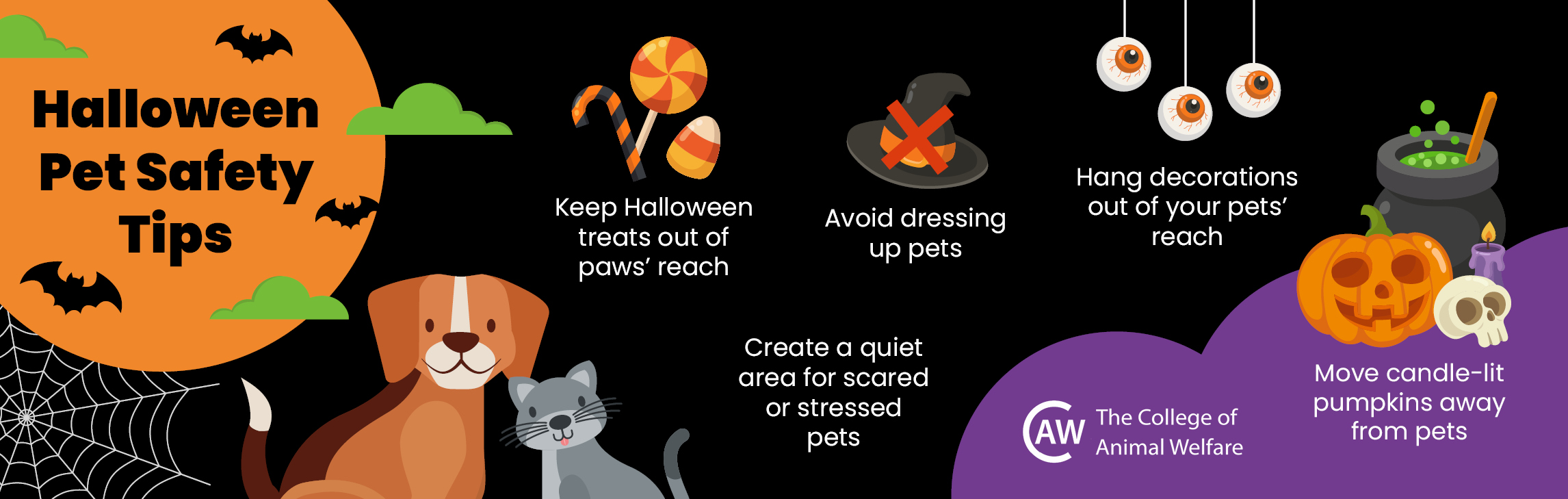 Look Out For Your Pets This Spooky Sea CAW Blog Look Out For Your Pets This Spooky Sea CAW Blog