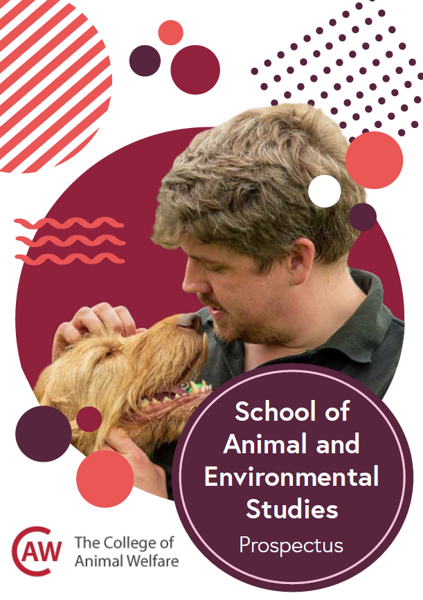School of Animal and Environmental Stu ... | CAW Blog