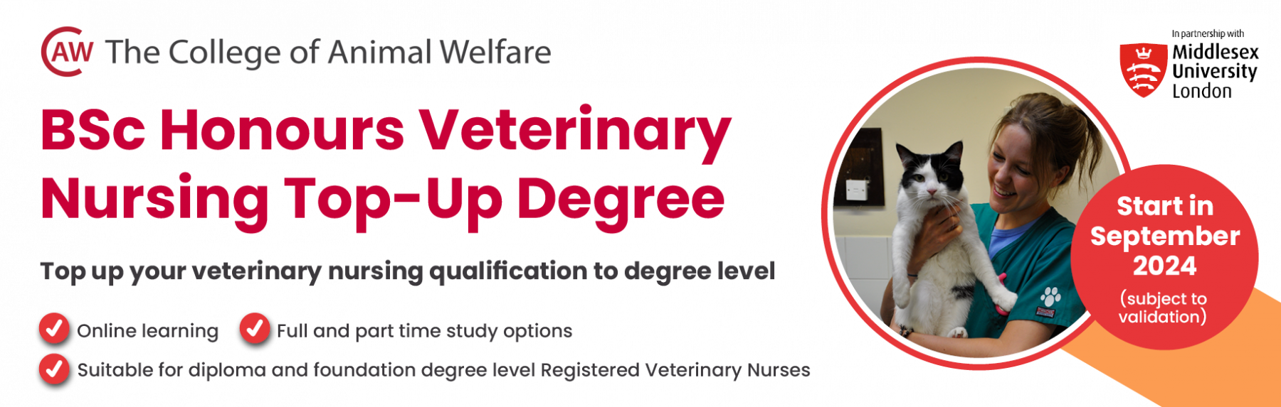BSc (Hons) Veterinary Nursing Top-Up D ... | CAW News