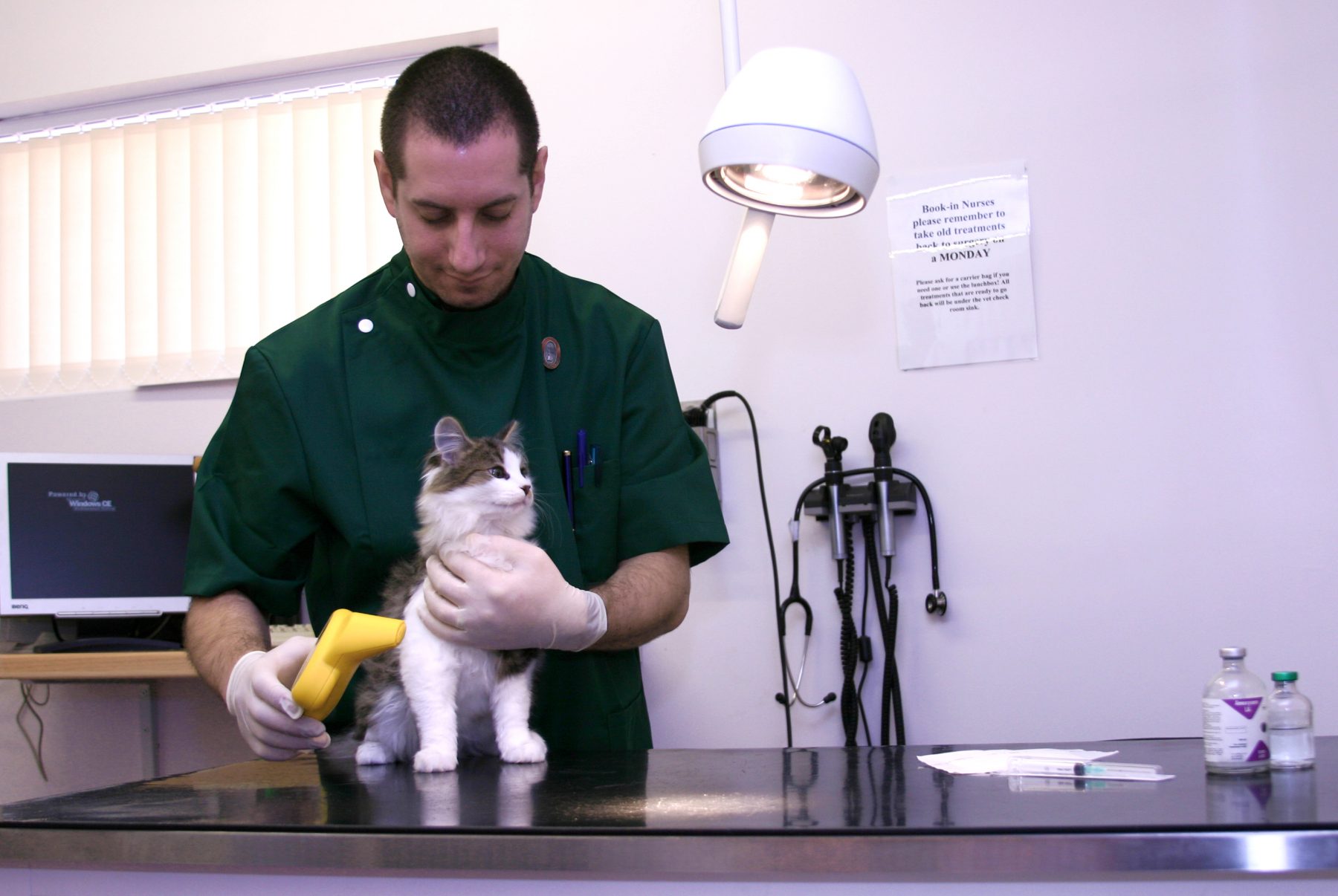 Interested in training as a veterinary ... | CAW Blog