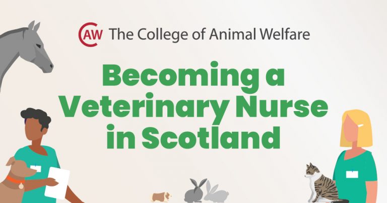 Becoming a Veterinary Nurse in Scotland | CAW News
