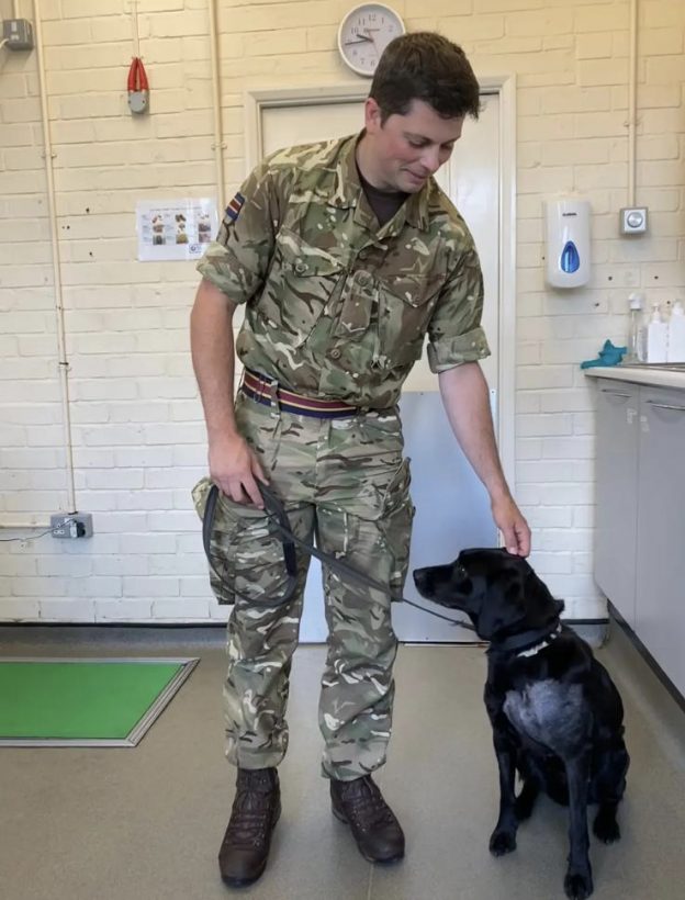 Celebrating the 500th CAW VetSkill App ... | CAW News