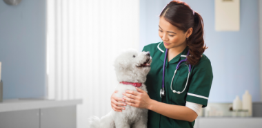 What’s Next After RVN Registration? Plann… | CAW News